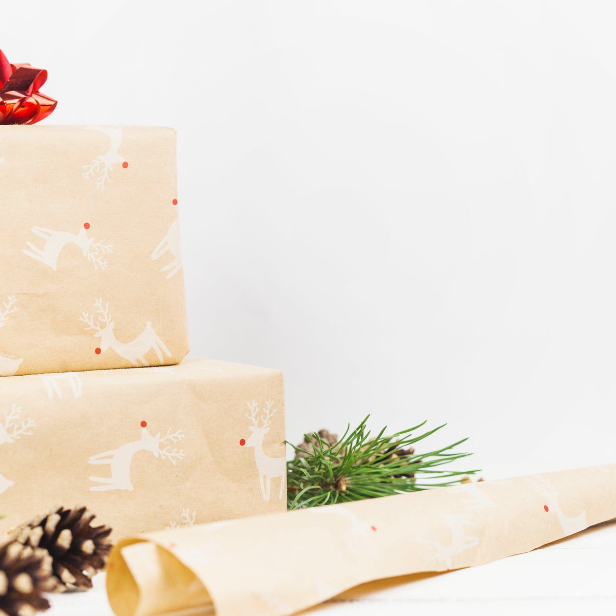Tissue Paper Collection – Wrap, Stuff & Decorate in Style | DPW ...