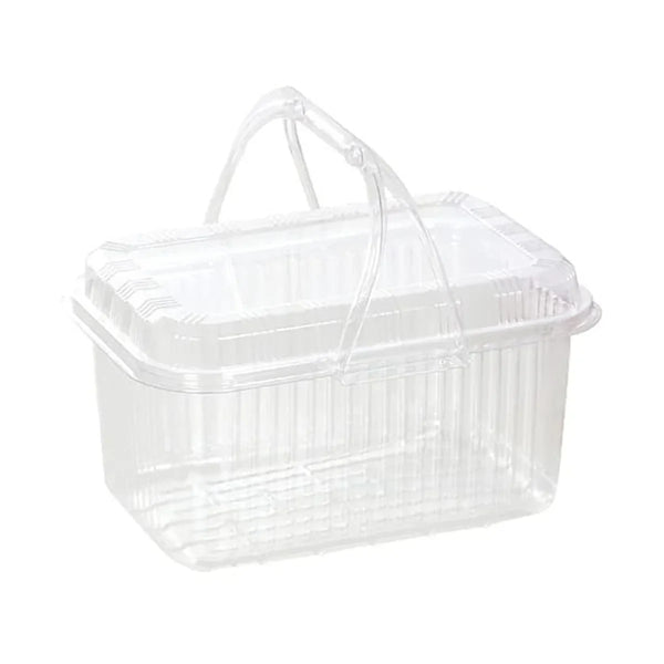 20pcs Transparent Plastic Fruit Boxes Handbasket Style – Discount ...